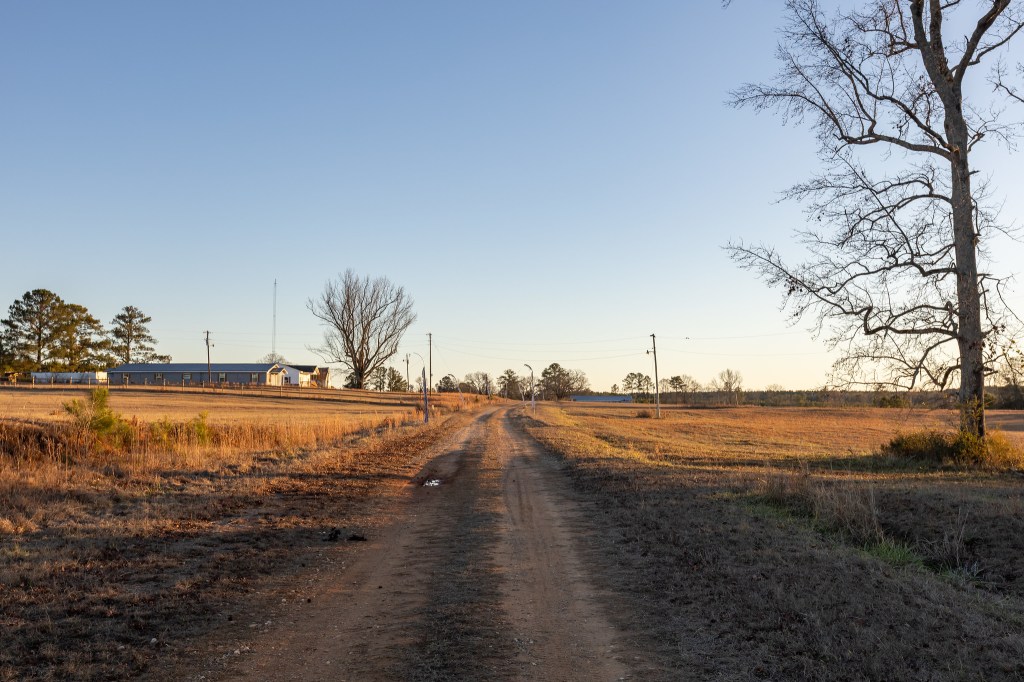 Rutherford Plantation – Abandoned Southeast